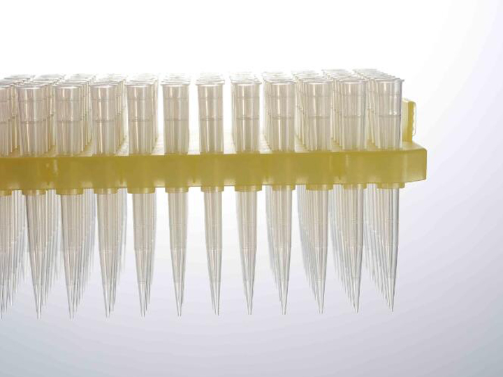 Pipette Micro Tips in Dubai UAE | Caresource